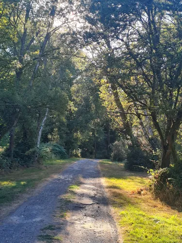 2023 Best Trails, Walks, and Paths in Cold Ash | AllTrails