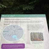 Lost '40' Trail, Minnesota - 162 Reviews, Map | AllTrails