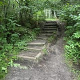 Lost '40' Trail, Minnesota - 162 Reviews, Map | AllTrails