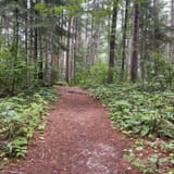 Lost '40' Trail, Minnesota - 162 Reviews, Map | AllTrails