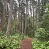 Lost '40' Trail, Minnesota - 162 Reviews, Map | AllTrails