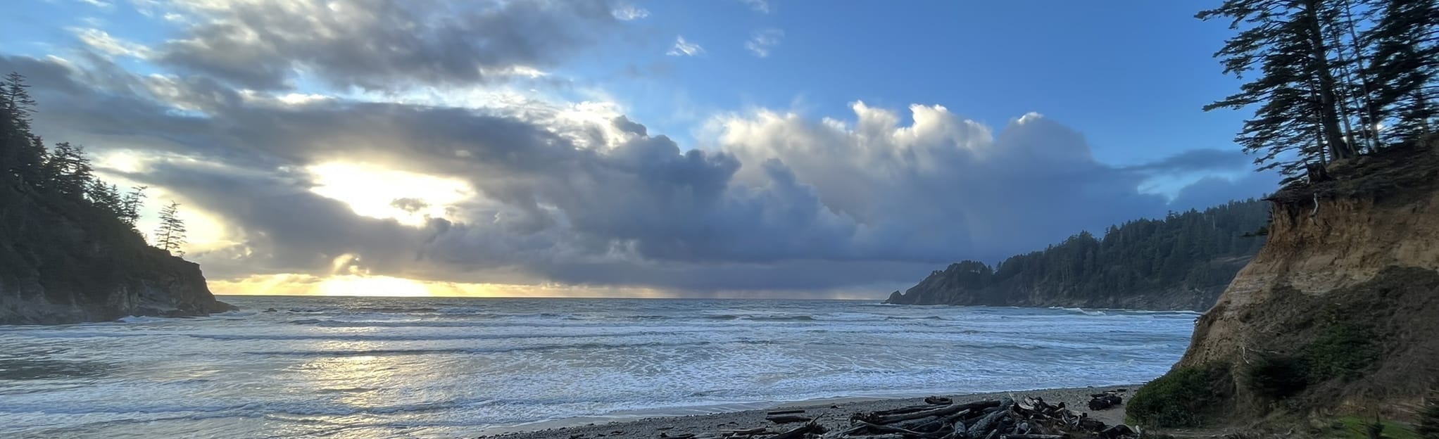 Short Sands Beach via Cape Falcon Trail: 185 Reviews, Map - Oregon ...