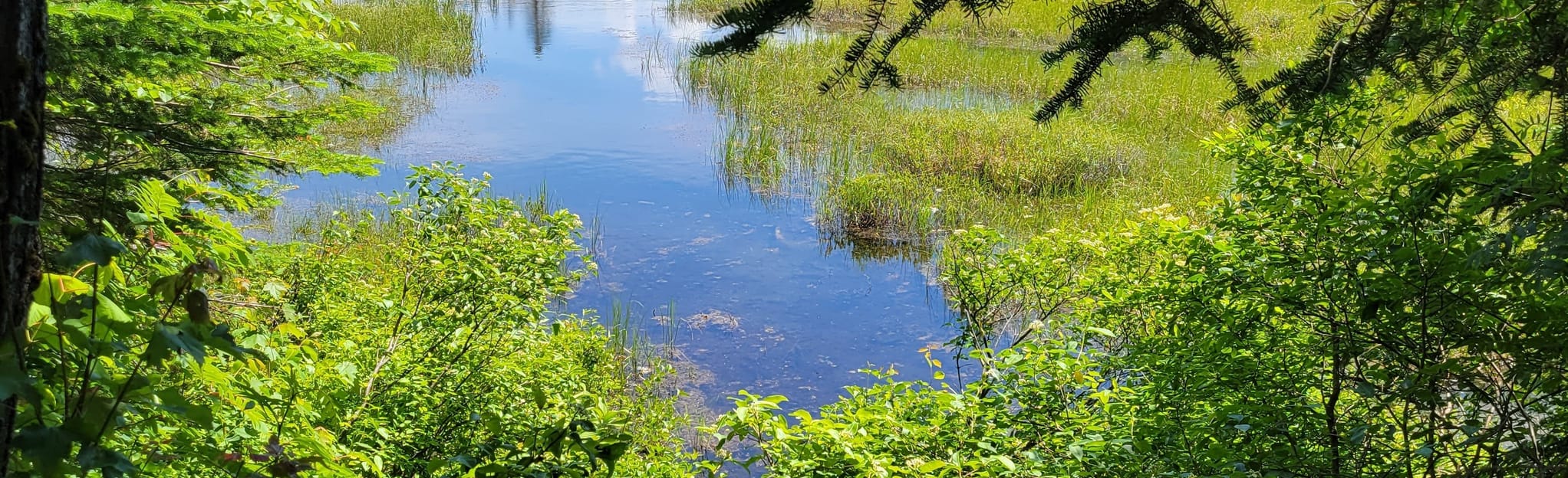 Mount Madison via Valley Way Trail, New Hampshire - 1,119 Reviews, Map ...