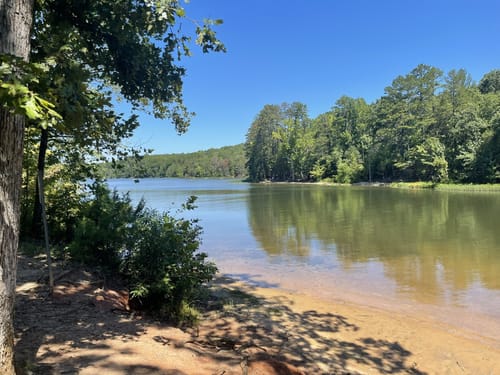 2023 Best 10 Short Trails in Latta Nature Preserve | AllTrails