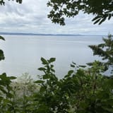 Marine View Park Loop Trail, Washington - 446 Reviews, Map | AllTrails