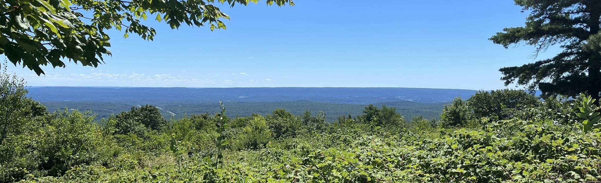 Camelback Mountain Loop Trail - Pennsylvania | AllTrails