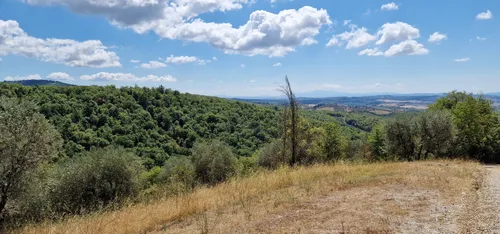 10 Best Forest Trails in Castellina In Chianti | AllTrails