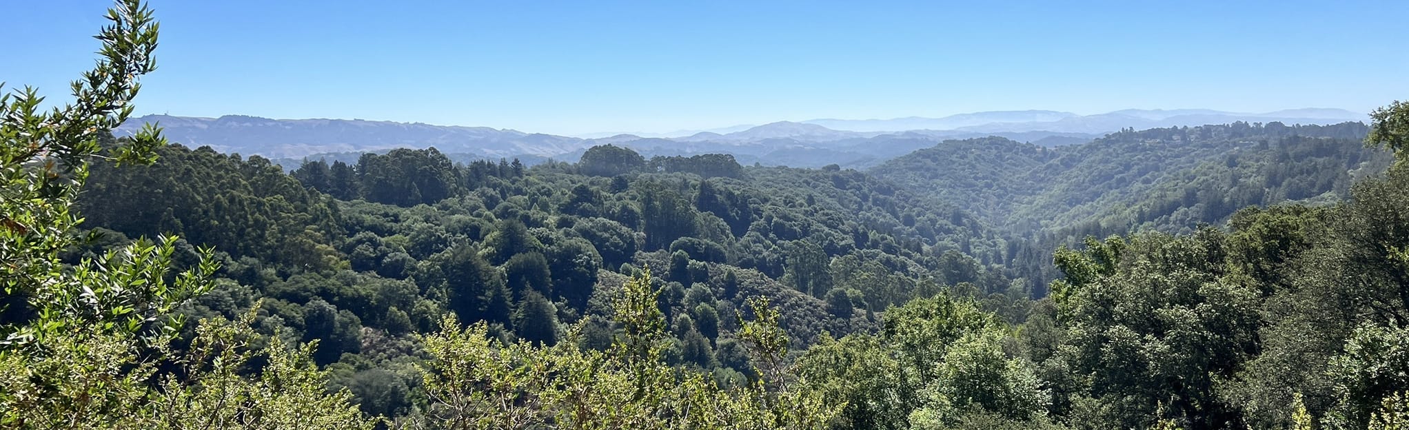 Dunn, Graham and West Ridge Trail Loop | Map, Guide - California ...