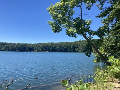 10 Best Walking Trails in Loch Raven Reservoir | AllTrails