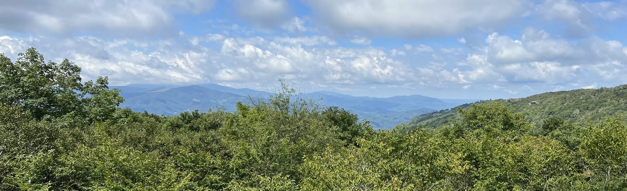 Wizards Way, North Carolina - 164 Reviews, Map | AllTrails