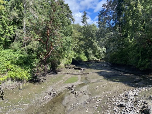 Best Hikes and Trails in Bainbridge Island City Park | AllTrails