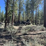 Nevada Beach and Round Mound Trail, Nevada - 476 Reviews, Map | AllTrails