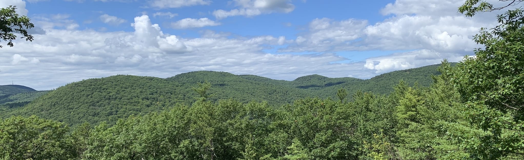 Mount Shannon Trail: 560 foto - New Hampshire | AllTrails