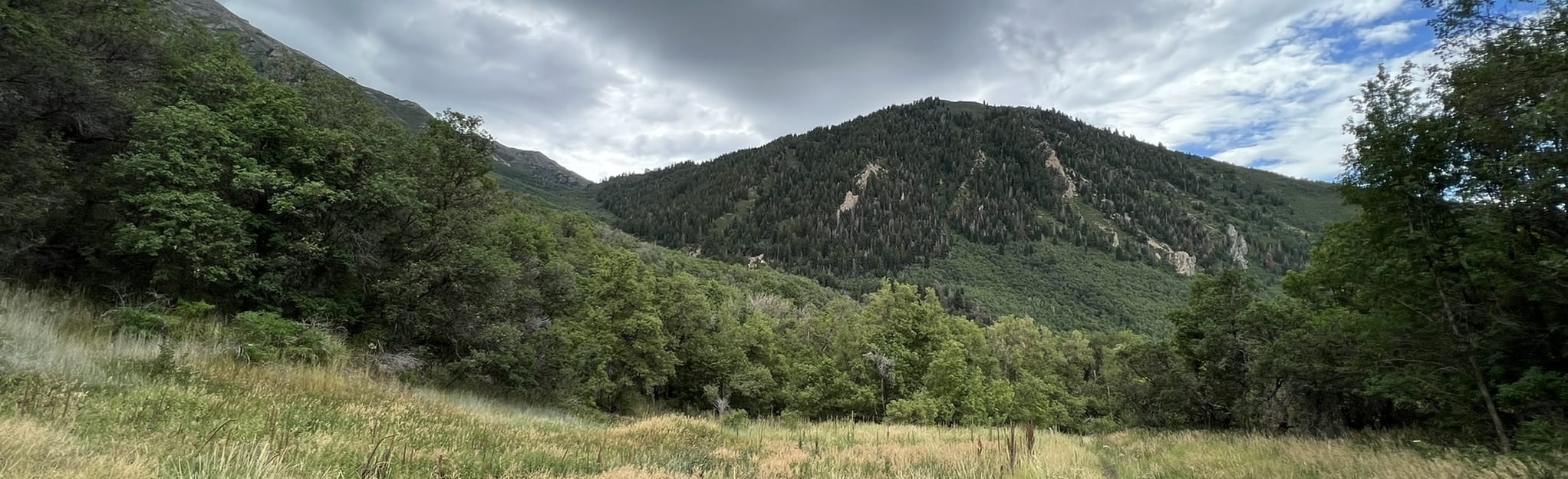Timpooneke Campground to Battle Creek Canyon: 32 Reviews, Map - Utah ...