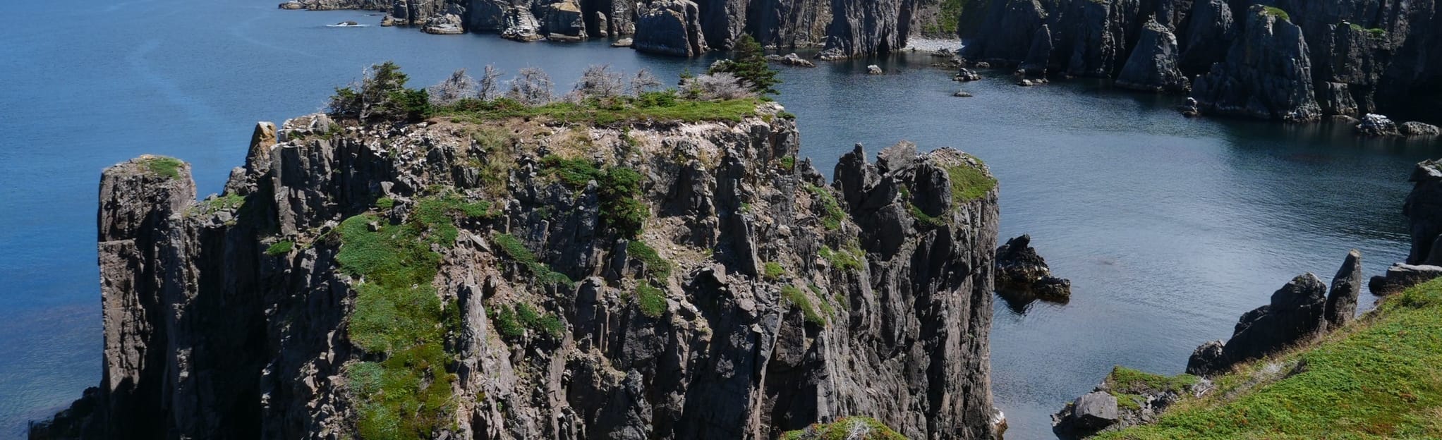 Spillars Cove: 236 foto's - Newfoundland en Labrador, Canada | AllTrails