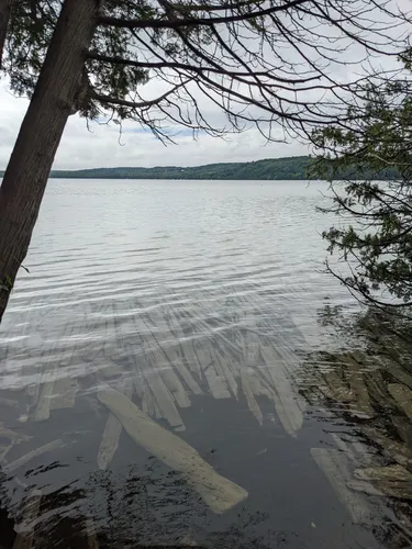 Best Hikes and Trails in Teichner Preserve | AllTrails