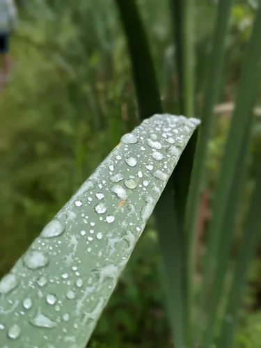 Best Hikes and Trails in Teichner Preserve | AllTrails