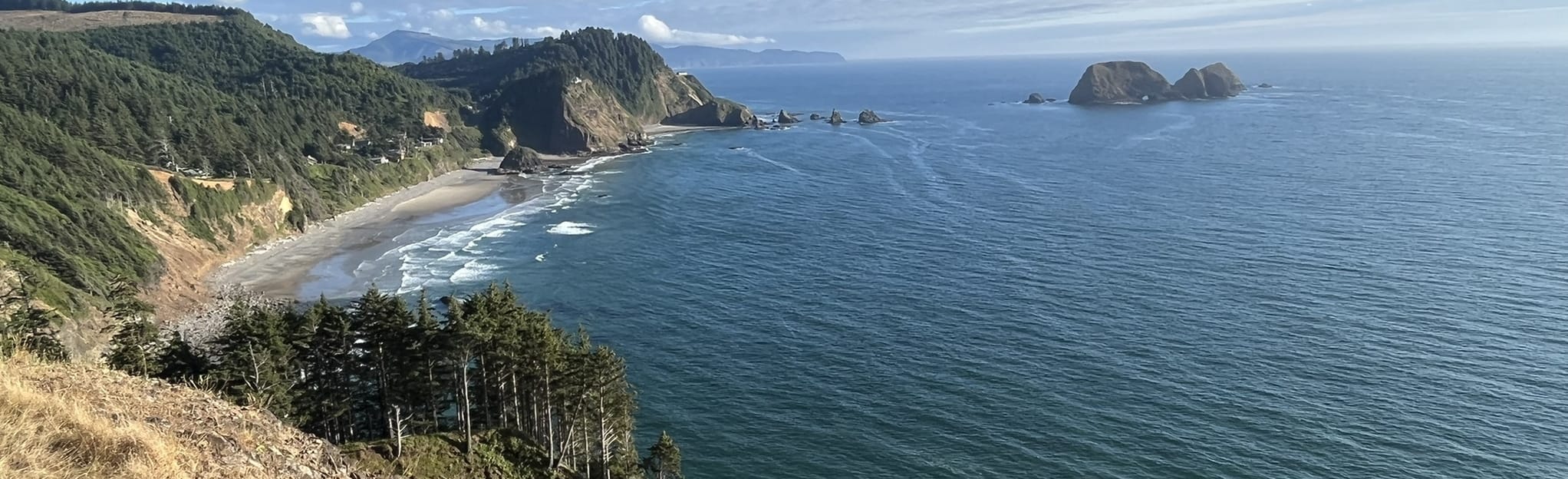 Octopus Tree Trail, Oregon - 137 Reviews, Map | AllTrails