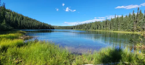 10 Best Trails and Hikes in Whitehorse | AllTrails