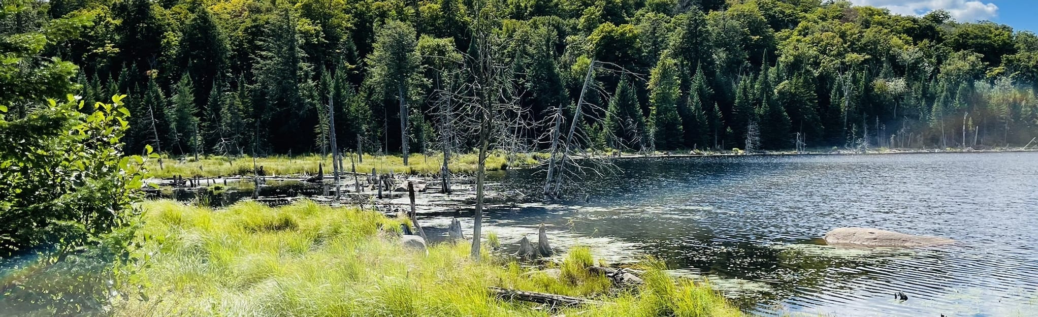 Lac Amigo via les 5 Boucles: 17 Reviews, Map - Quebec, Canada | AllTrails