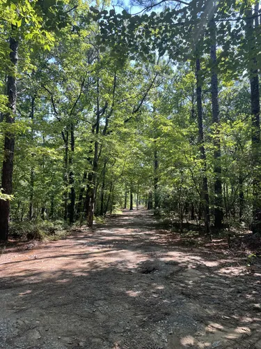 Best 10 Hiking Trails in Oak Mountain State Park | AllTrails