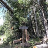 Cinnamon Mountain Trail, Montana - 200 Reviews, Map | AllTrails