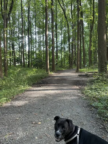 Best Hikes and Trails in Nottoway Park | AllTrails
