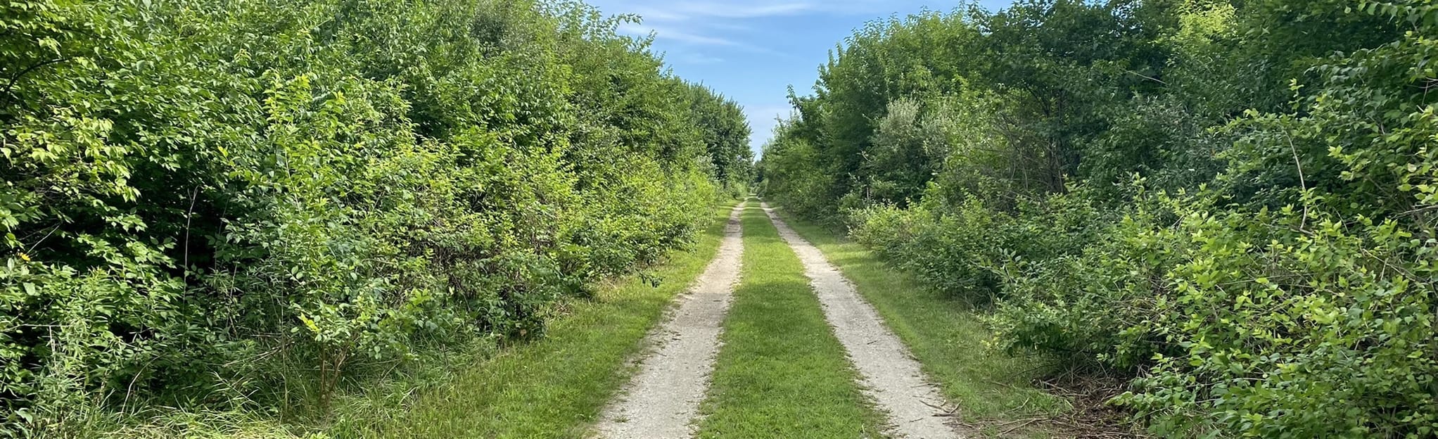 Henslow, Group 63, and Group 63 Spur Loop: 352 Reviews, Map - Illinois ...