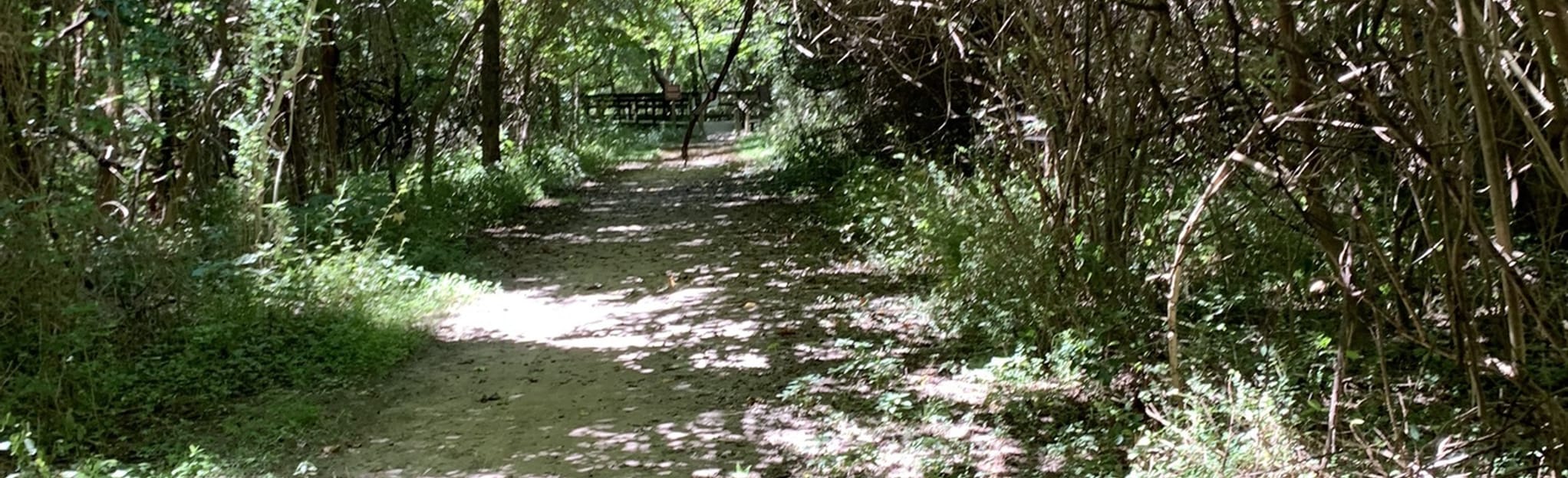 Cape Charles Natural Area Preserve Map Guide Virginia Alltrails
