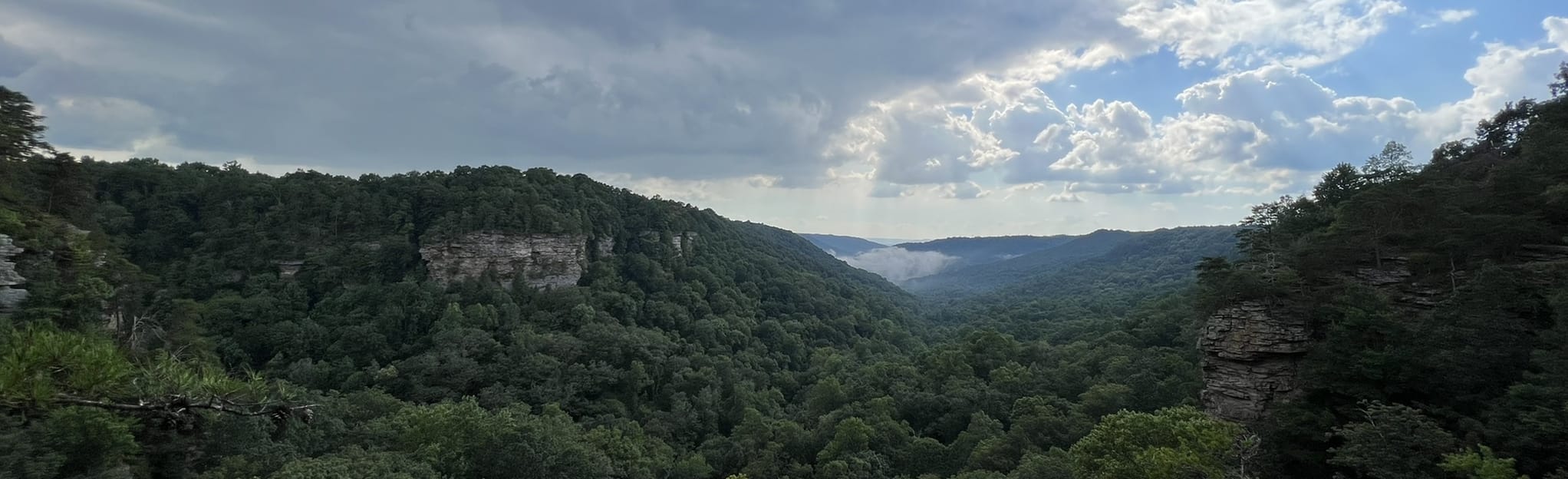 Pisgah Gorge Trail, Alabama - 254 Reviews, Map | AllTrails