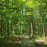 Cache River and Heron Pond State Natural Areas, Illinois - 133 Reviews ...