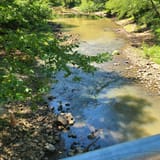 Cache River and Heron Pond State Natural Areas, Illinois - 133 Reviews ...