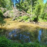 Cache River and Heron Pond State Natural Areas, Illinois - 133 Reviews ...