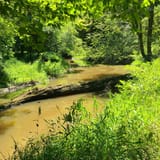 Cache River and Heron Pond State Natural Areas, Illinois - 133 Reviews ...