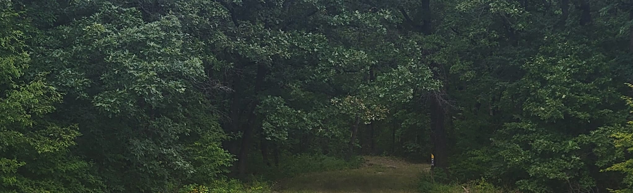 Sugar Creek Yellow Trail, Missouri - 27 Reviews, Map | AllTrails