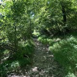 Lehigh Gap via Appalachian Trail, Pennsylvania - 281 Reviews, Map ...