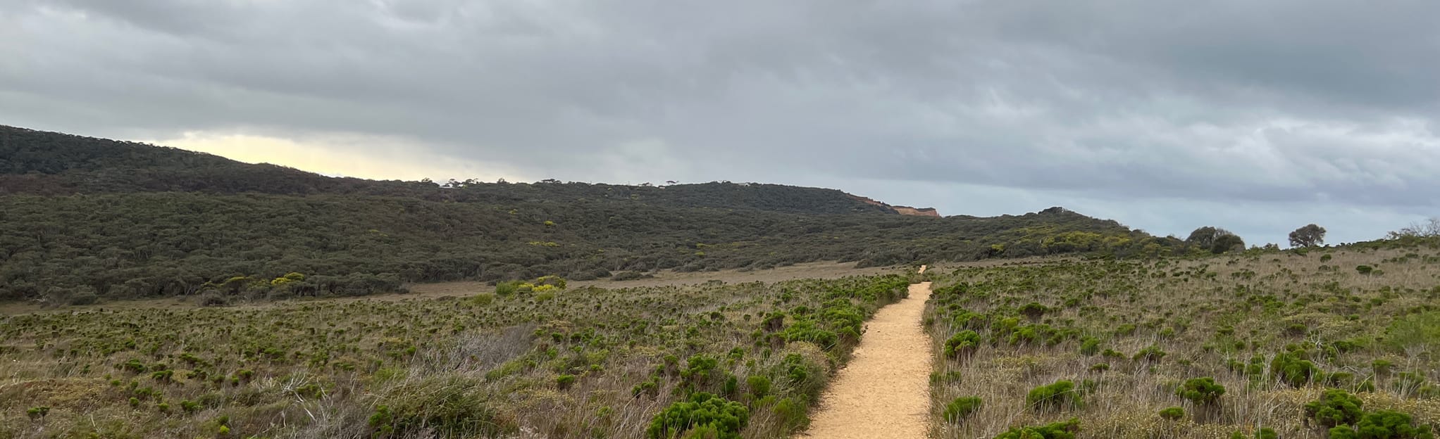 Surf Coast Walk: Point Addis via Ramsay Street | Map, Guide - Victoria ...