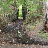 Paine Mountain, Vermont - 140 Reviews, Map | AllTrails
