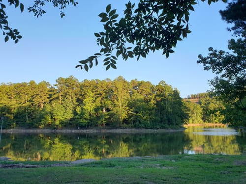 Best Hikes and Trails in Daisy State Park | AllTrails