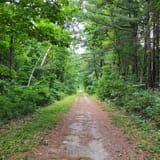 Monoosnoc Ridge Trail from West St Leominster to Haynes Reservoir ...
