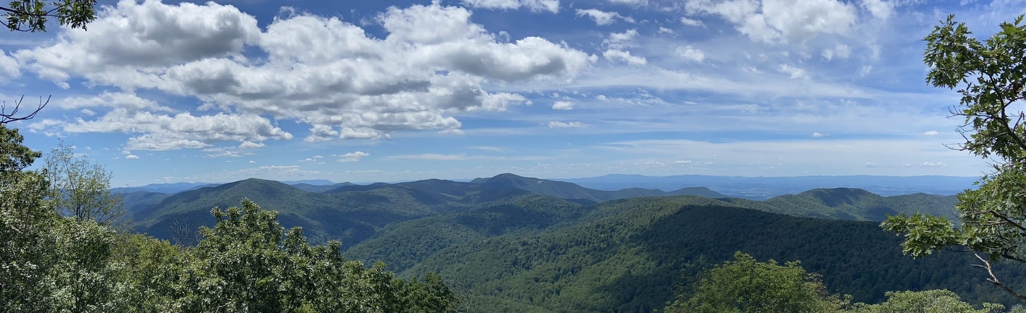 Big Flat Mountain Loop via Appalachian Trail, Virginia - 252 Reviews ...