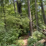 Lost '40' Trail, Minnesota - 167 Reviews, Map | AllTrails
