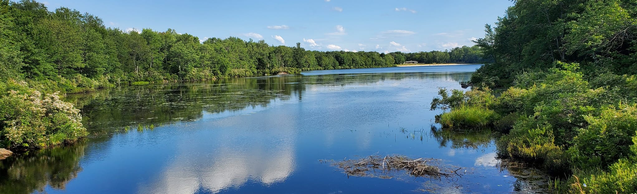 Tobyhanna State Park Lakeside Loop Trail, Pennsylvania - 1,243 Reviews ...