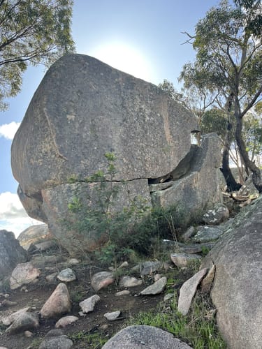 Best Hikes and Trails in Black Range Scenic Reserve | AllTrails