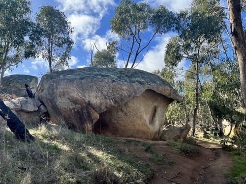 Best Hikes and Trails in Black Range Scenic Reserve | AllTrails