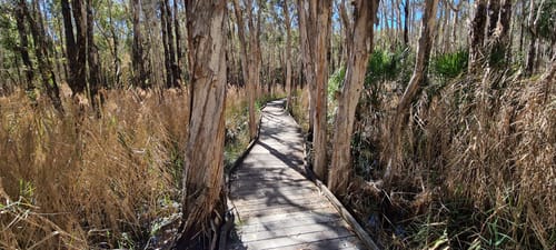 Best Hikes and Trails in Burrum Coast National Park | AllTrails