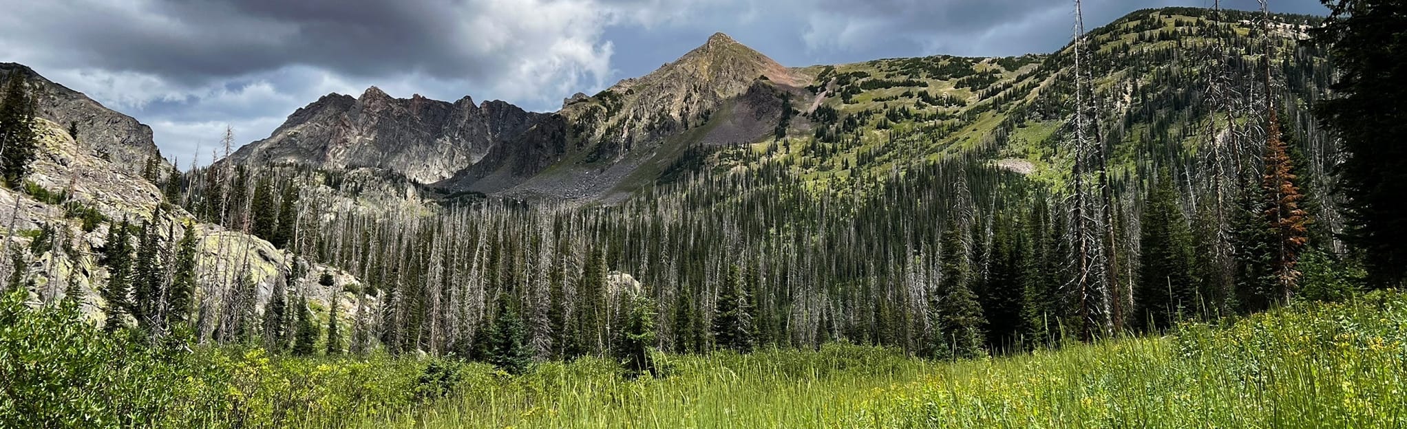 Gilpin Lake Trail, Colorado - 496 Reviews, Map | AllTrails