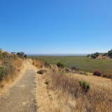 Turtleback Point Loop, California - 155 Reviews, Map | AllTrails