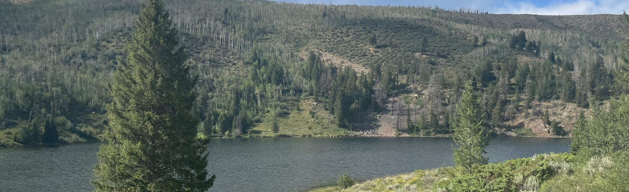 Lower Cataract Loop Trail, Colorado - 856 Reviews, Map | AllTrails