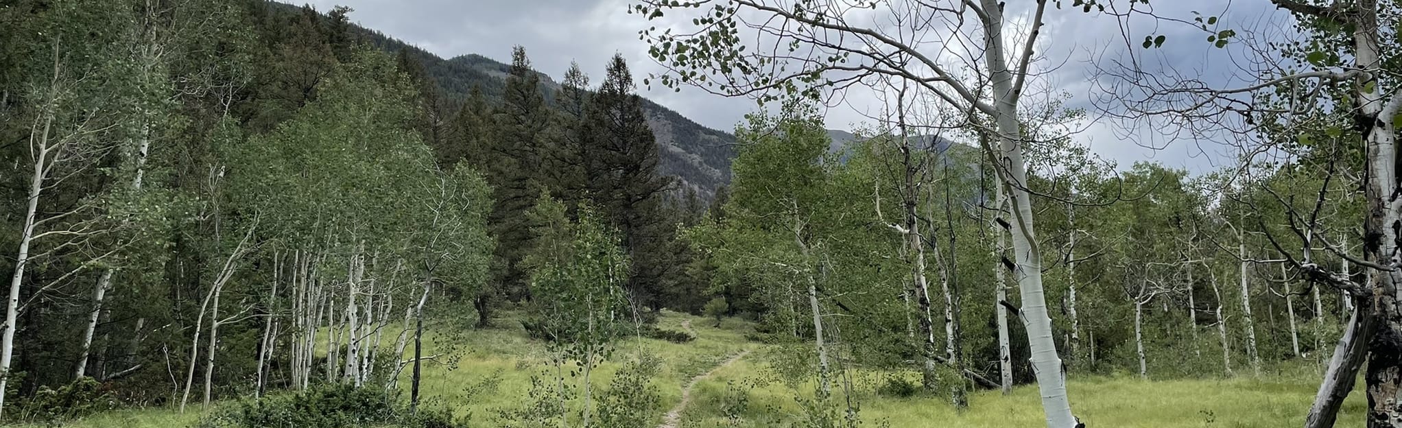 Fanny Fern Mine Trail, Colorado - 68 Reviews, Map | AllTrails